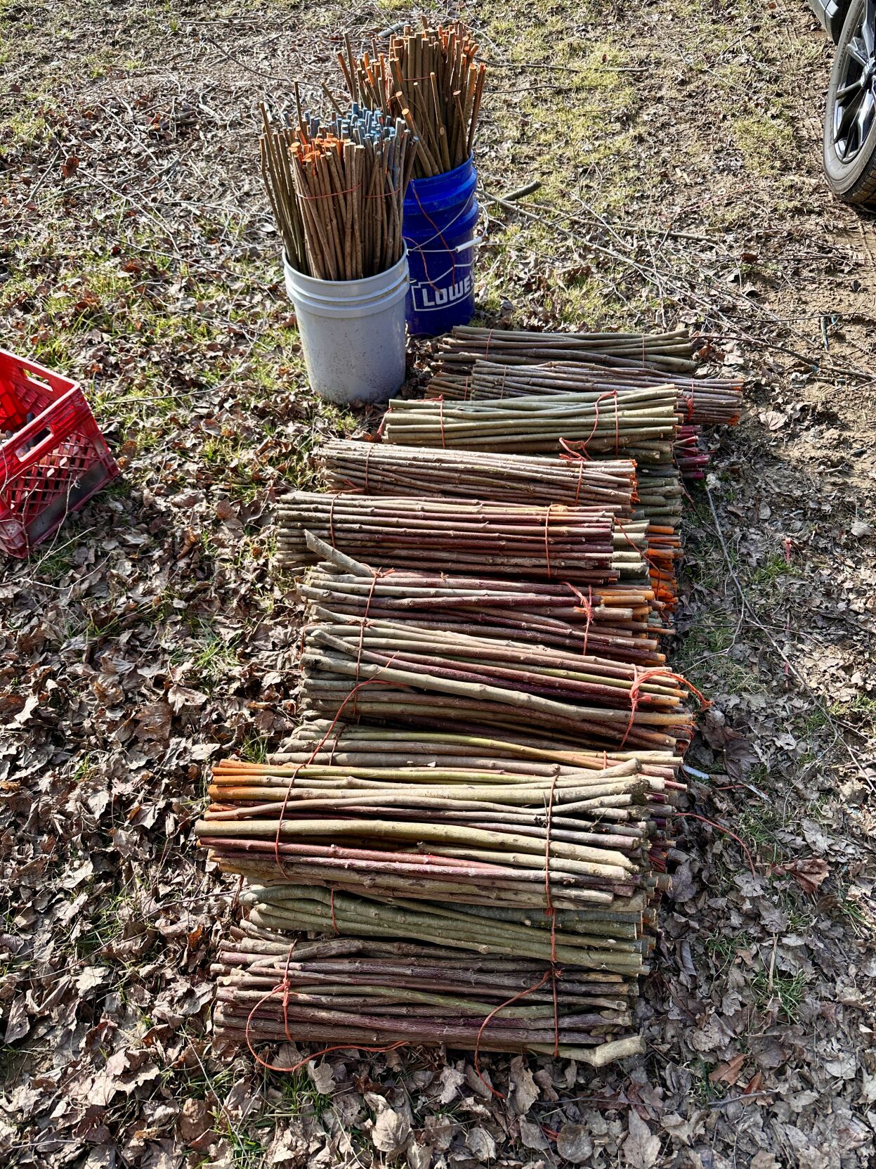 MountainTrue live staking event works to stabilize riverbanks | Local ...
