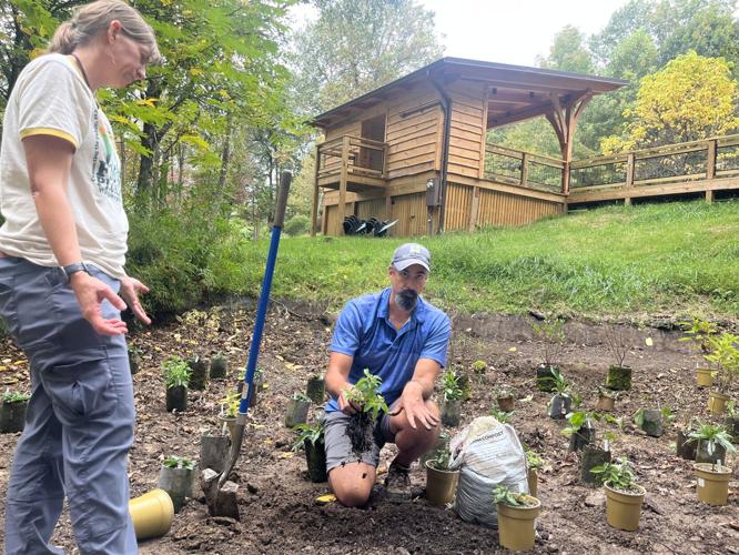 New rain garden installed at Daniel Boone Native Gardens | Community ...