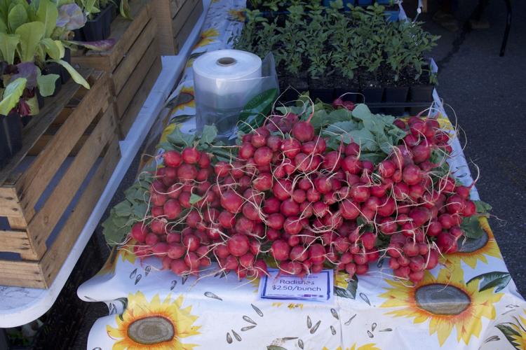 Watauga County Farmer's Market opens for 2021 season | Community ...