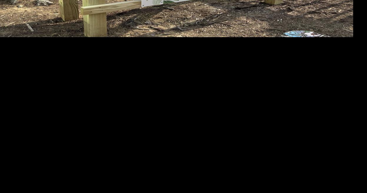 The Magic Mailbox gets a makeover | Community | wataugademocrat.com