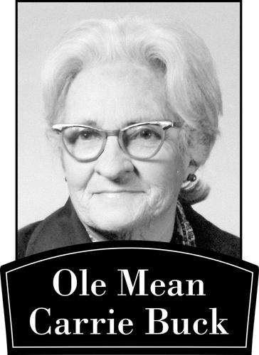 Ole Mean Carrie Buck: Taking the twins to Boone to see Dr. Hagaman ...