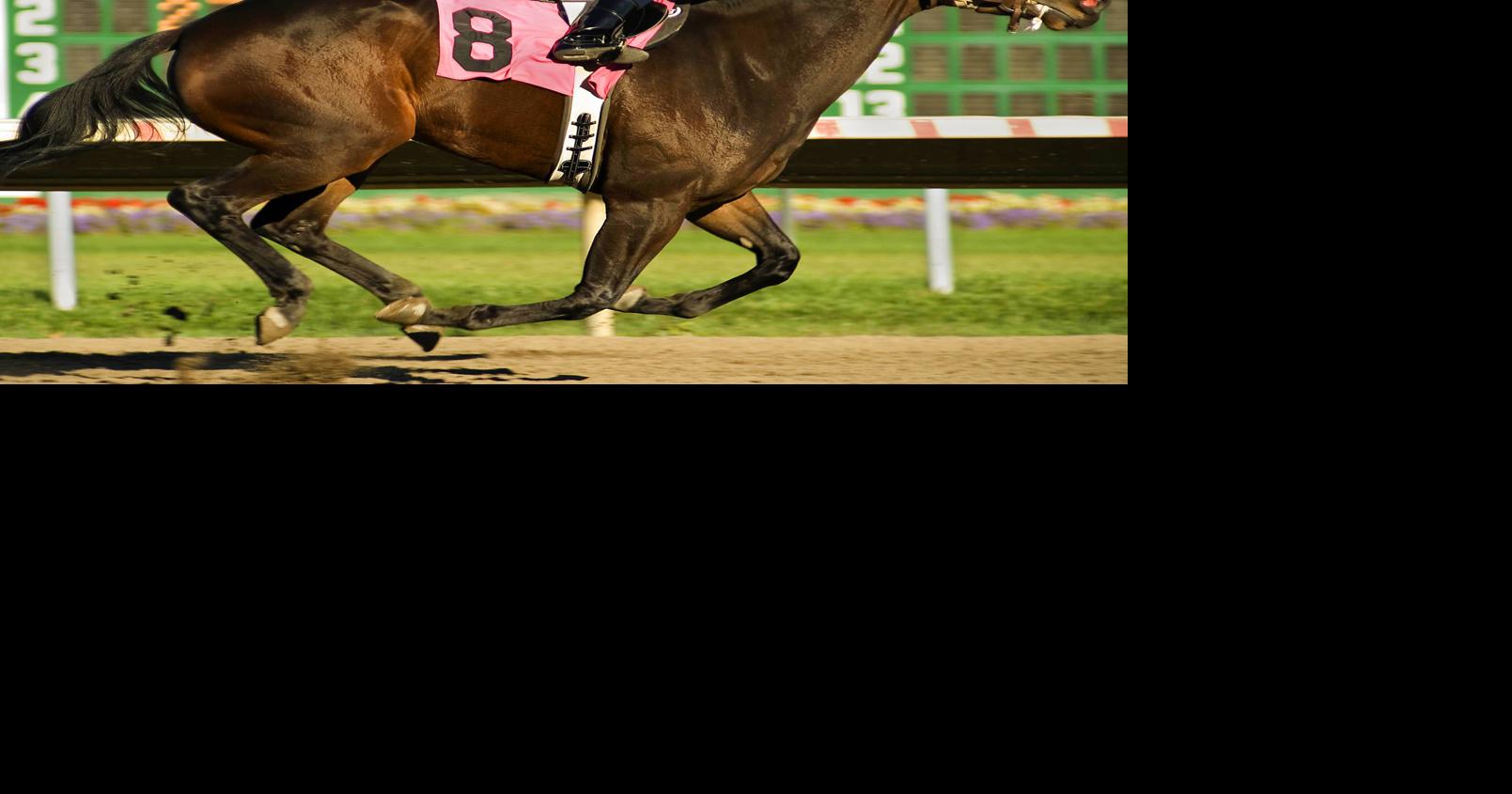 Horses, hats and hooch | | wataugademocrat.com