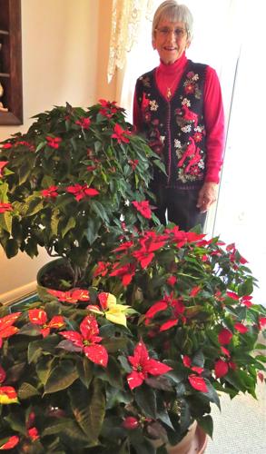 Angie Greene 'points' the way to a Merry Christmas | Community ...