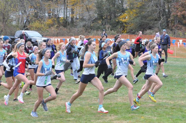 Watauga boy's and girl's cross country both nab conference titles ...