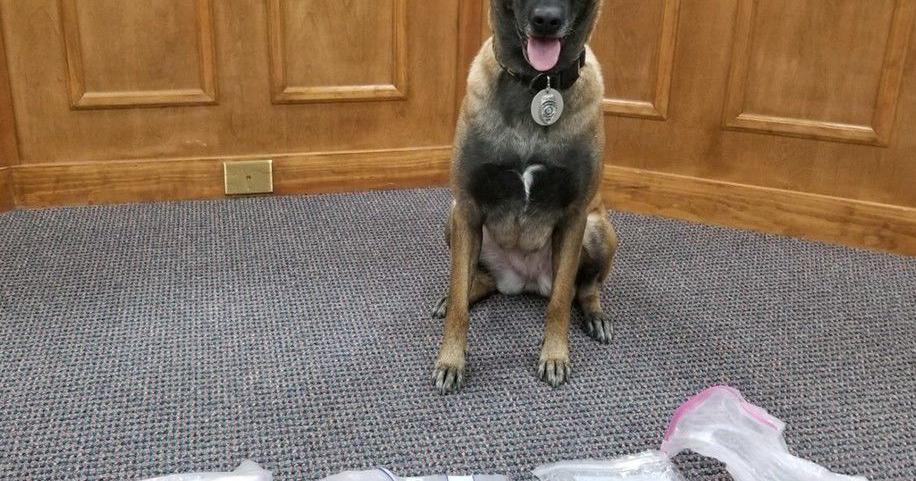 Boone Police announces death of K-9 Kyra | News | wataugademocrat.com