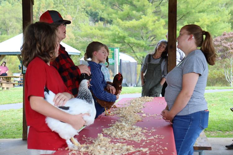 Future of local agriculture showcased at 4-H chicken show | Local News ...