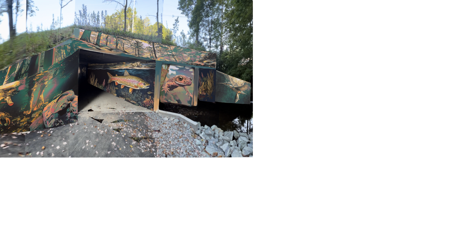 Mural project set to transform Middle Fork Greenway tunnel near ...