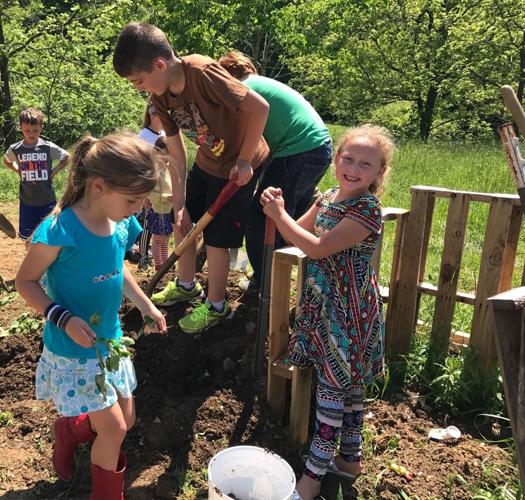 Two Watauga schools receive NC Green School Awards | Community ...