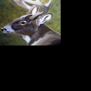 Downtown Boone Art Crawl Friday | Art | wataugademocrat.com