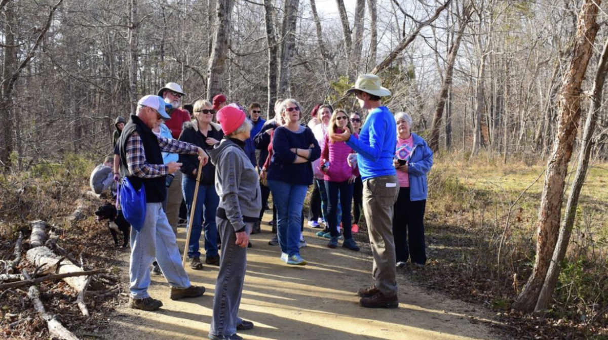 Friends of the Blue Ridge hosting free art-in-nature sculpture walk ...