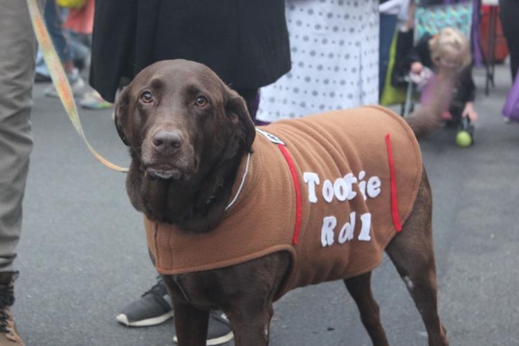 Boone Boo! 2023 | Community | wataugademocrat.com