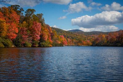 Trees are looking 'very good' as return of fall colors nears | Local ...