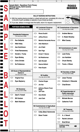 Early voting begins Feb. 15 with multiple races on the ballot | Local ...