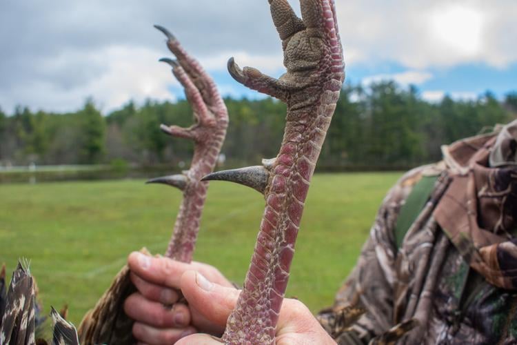 Appalachian Holler Hunters host turkey classic fundraising event ...