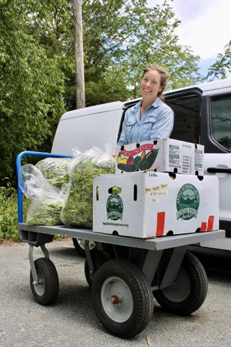 Hunger and Health Coalition working to meet increasing community needs ...