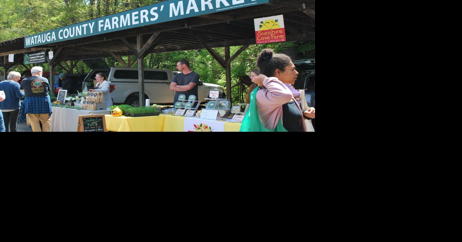 Double Up Food Bucks Fundraising Booth at the Watauga County Farmers ...