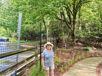 Daniel Boone Native Gardens hopes to keep deer out with new fencing ...