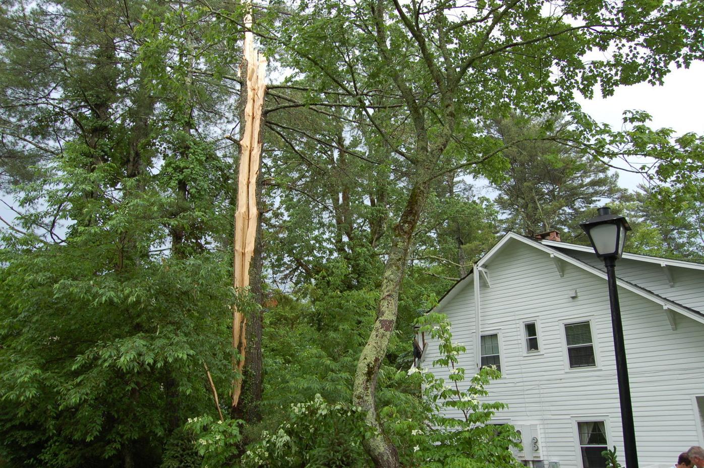 Lightning-struck tree damages the Triplett House | Blowing Rocket ...