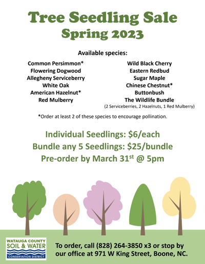 Watauga County Soil and Water Conservation District hosting tree ...