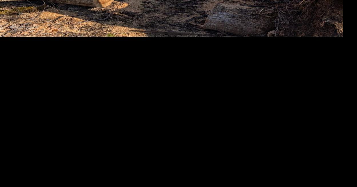 Forest Service reopens more trails across the ﻿Appalachian Ranger ...