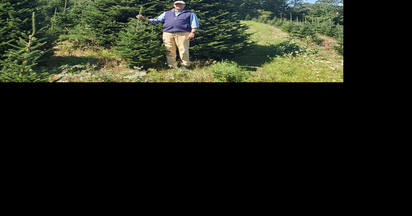 Avery's Cartner Christmas Tree Farm serving the White House this year ...