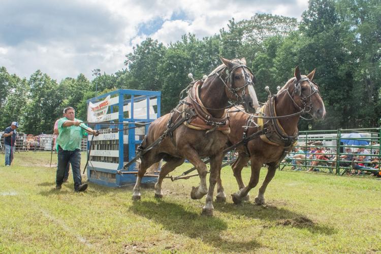 Exercise in Power: Draft Pull draws crowd to Heritage Park ...