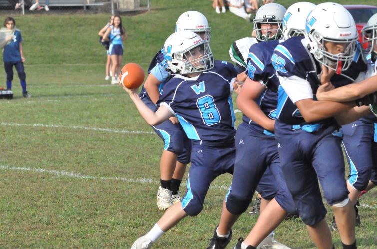 Watauga Wolverines swat Hudson Hornets, 46-8 | Local Sports ...