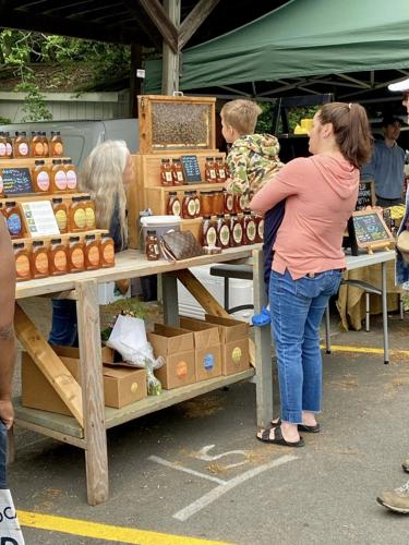 Watauga County Farmers Market to host pollination celebration ...