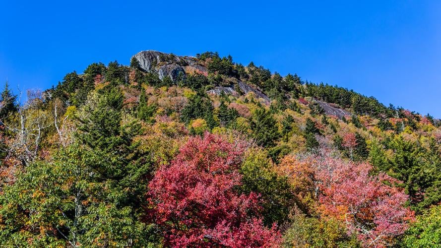 Fall color as seen on Grandfather Mountain | Multimedia ...