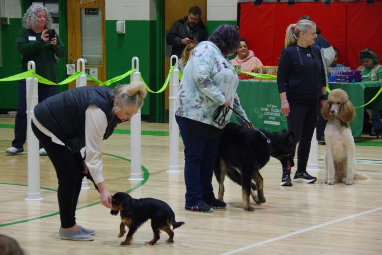 WinterPaws in Photos | Community | wataugademocrat.com