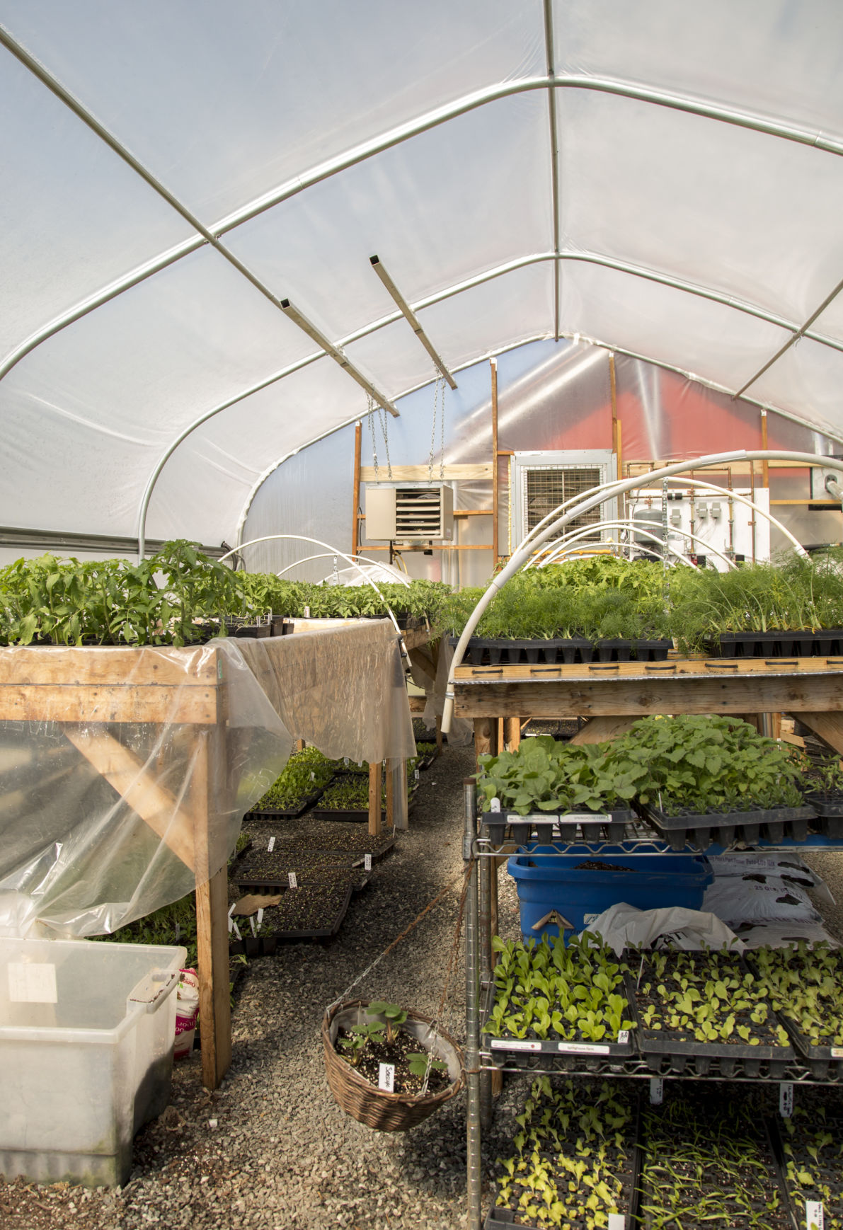 Springhouse Farm: Amy Fiedler’s Beautiful Place | All About Women ...