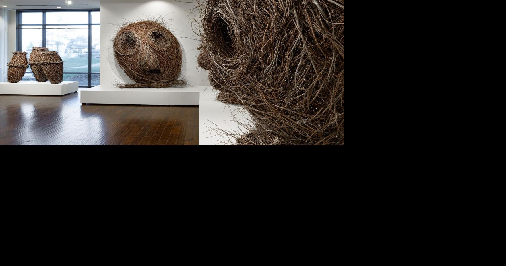 Artist Patrick Dougherty visiting App State on April 16 | Community ...