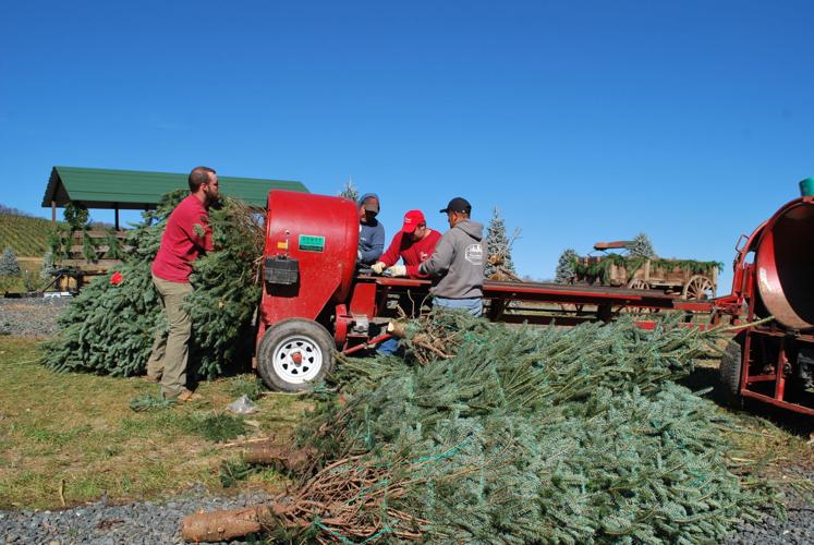 High Country provides centerpiece of the Christmas season ...