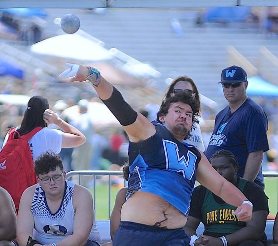 Watauga track athletes showcase on a national level | Sports ...