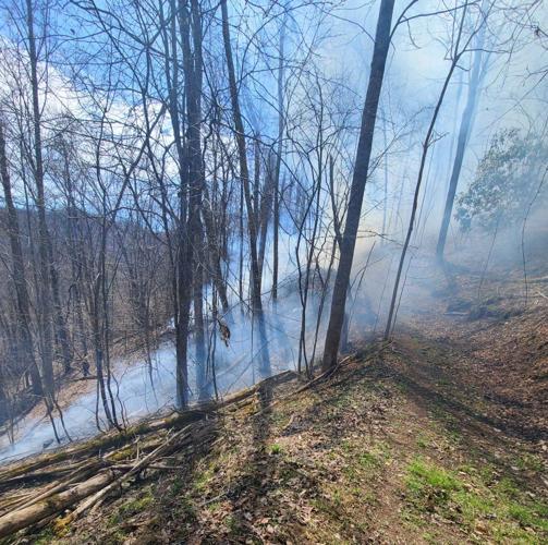 Beaver Dam prescribed burn helps with fire prevention | Local News ...