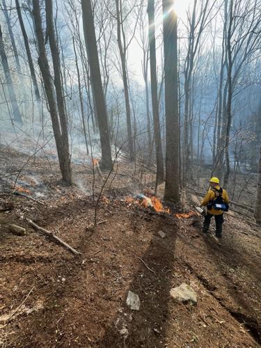 Crews control brush fire Thursday afternoon | Local News ...