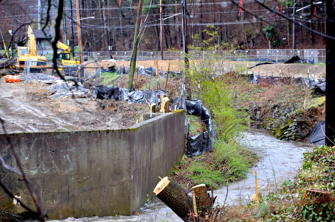 Boone Creek restoration begins as part of $54M Standard project | News ...