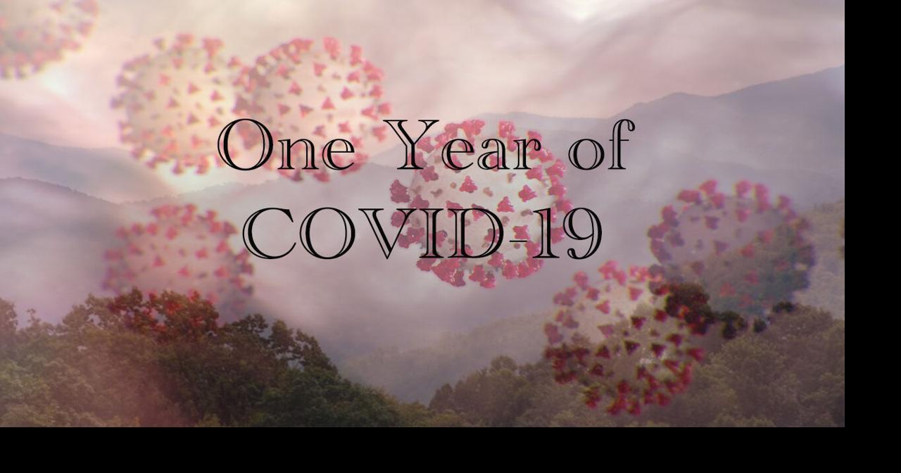 The Lost Year: Looking back at a year of the COVID-19 pandemic ...