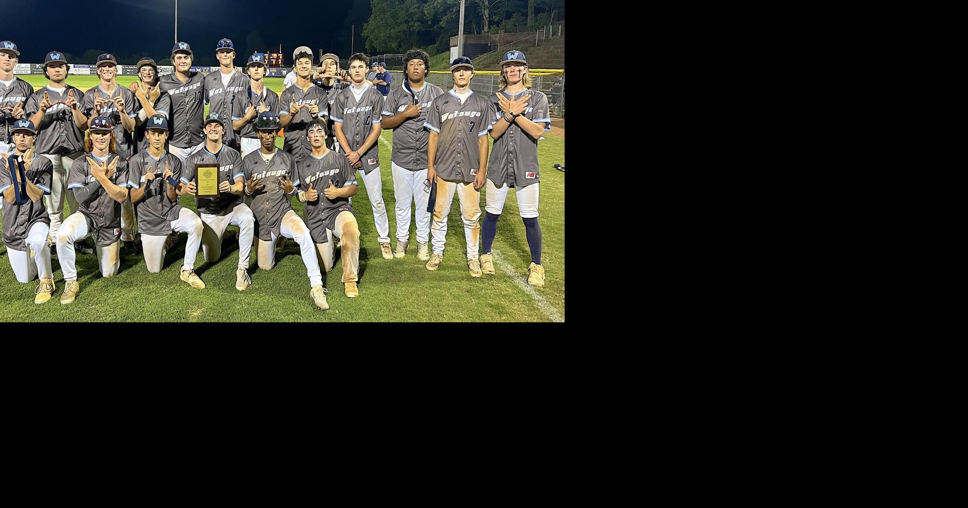 Flying high: Watauga baseball captures NWC tournament title | Sports ...