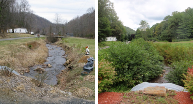 Conservancy can help restore stream banks | Community | wataugademocrat.com