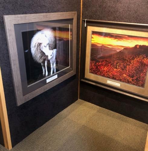 Cornerstone Christian Bookstore under new management, adding coffee bar ...