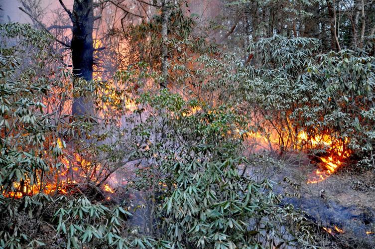 Horton Fire grows to 800 acres, 20% contained | News | wataugademocrat.com