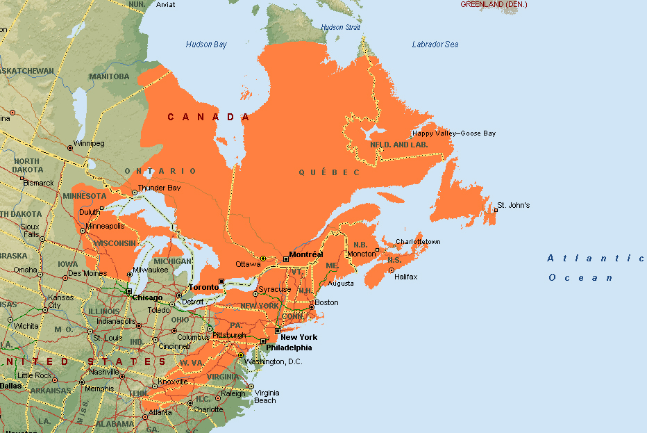 Toe Talk: Talking trout | Community | wataugademocrat.com