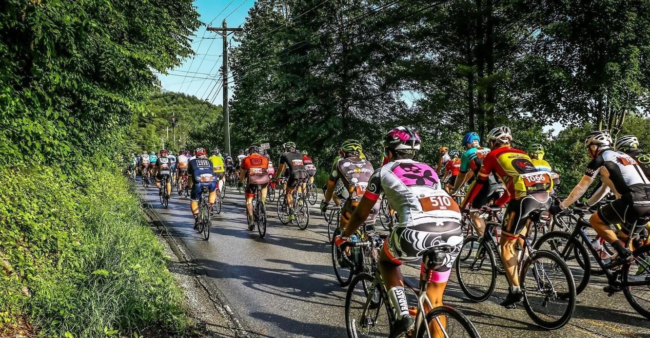 Blood Sweat and Gears returns to High Country | Local Sports ...