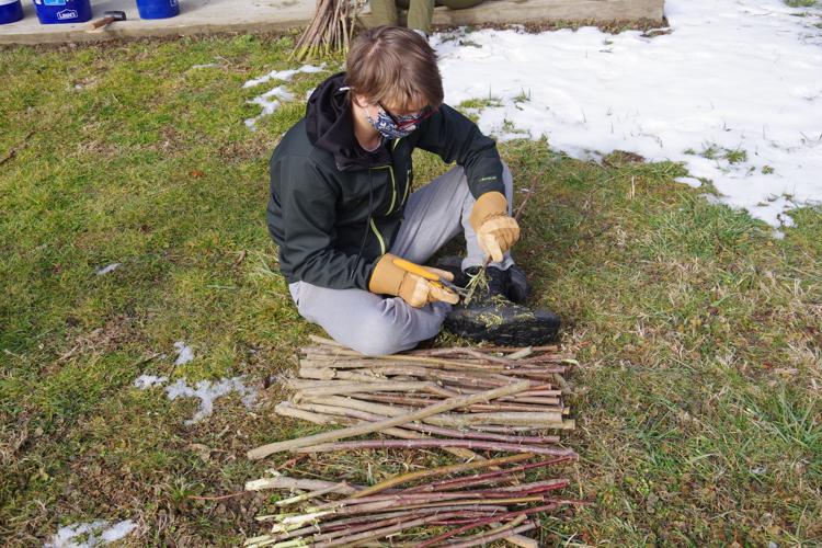 MountainTrue hosts live staking event in goal to plant 15,000 trees ...