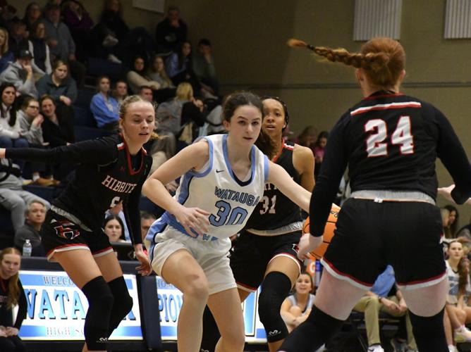Sears' triple-double, Torgerson's 19 powers Pioneers past Hibriten on ...
