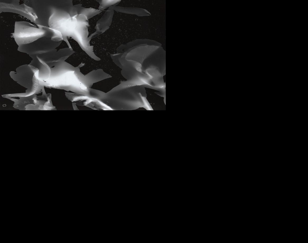 Noelle Rasmussen photo exhibit on display at Hickory Museum of Art ...