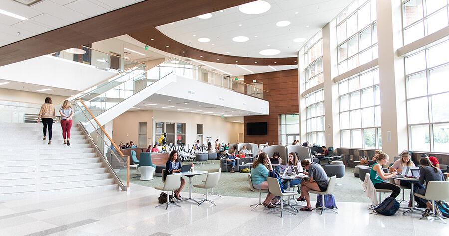 App State announces new master’s degree in occupational therapy | ASU ...