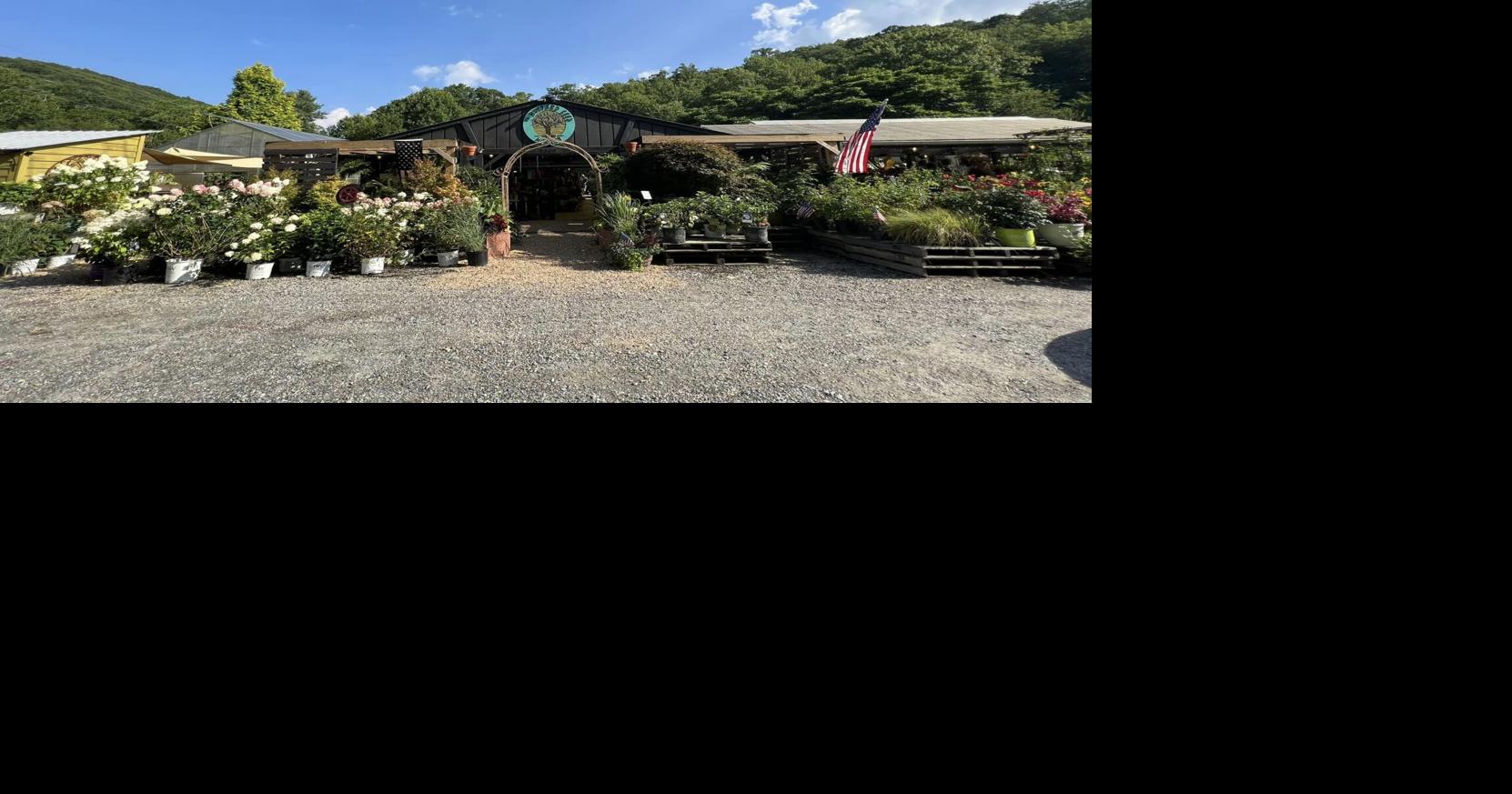 Mustard Seed's fourth annual attic sale taking place until Sept. 7 ...