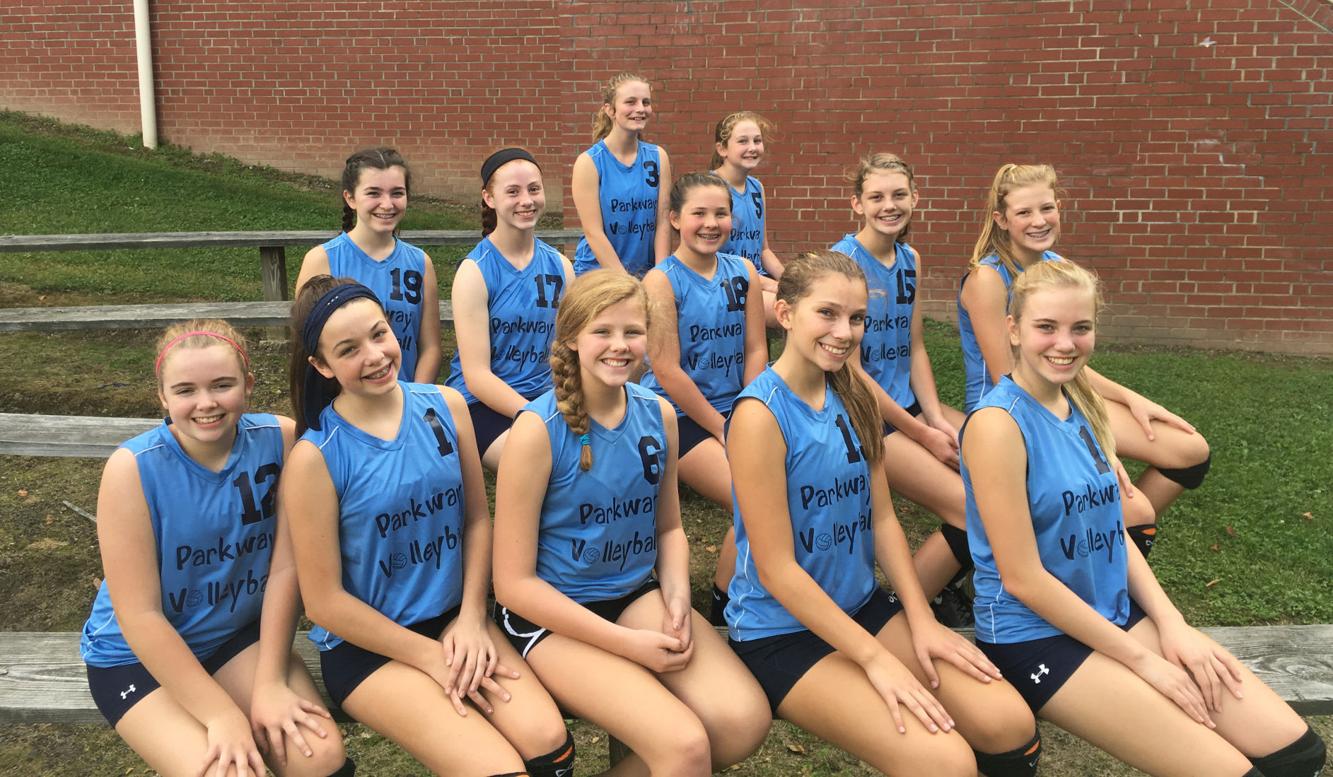 Parkway's volleyball team runs the table | Local Sports ...